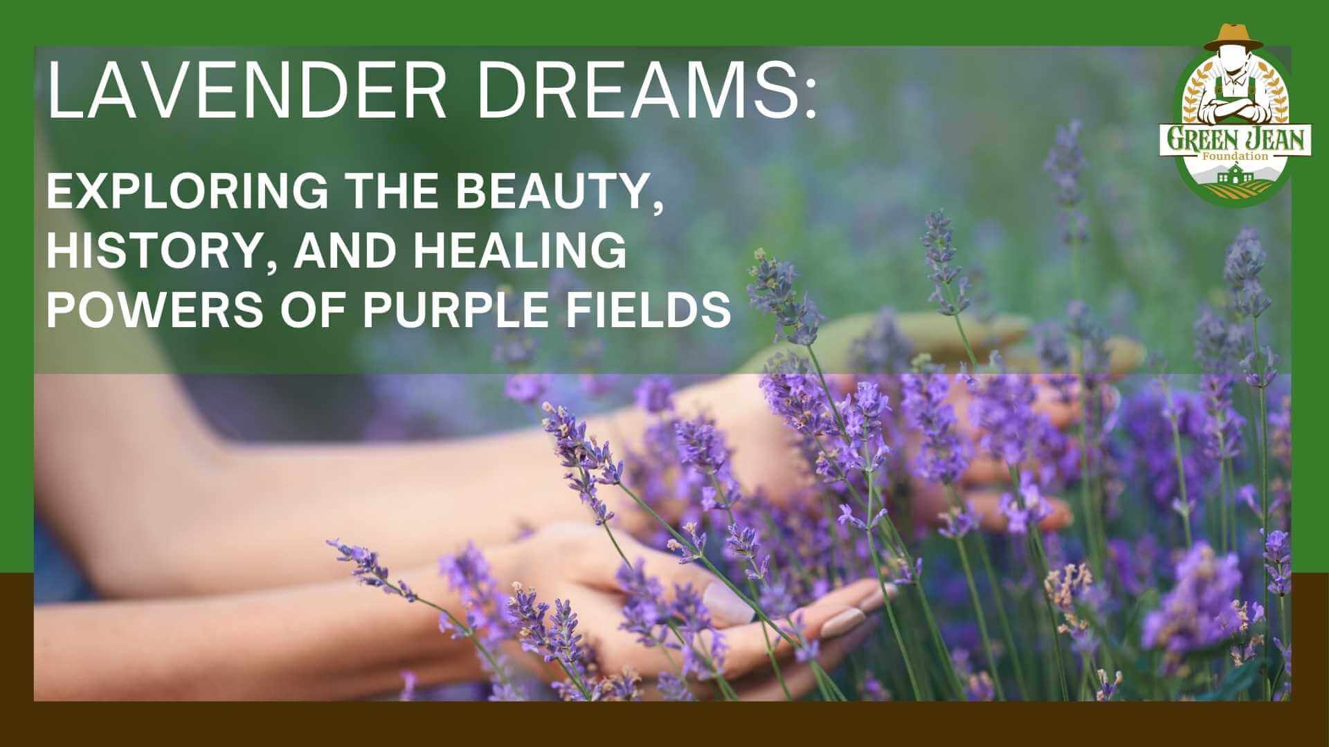 Exploring the Beauty, History, and Healing Powers of Lavender