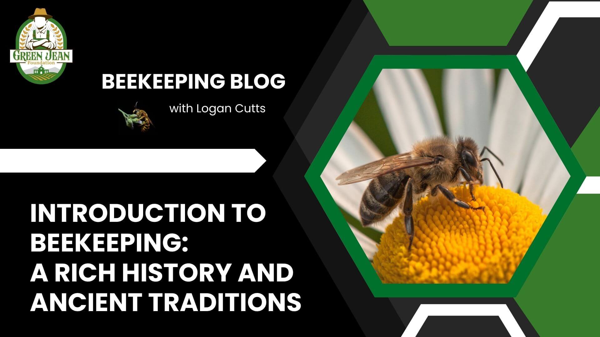Intorduction to Beekeeping: A Rich History and Ancient Traditions