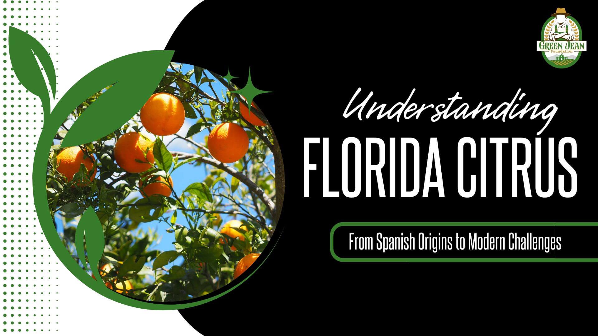 Florida Citrus: From Spanish Origins to Modern Challenges