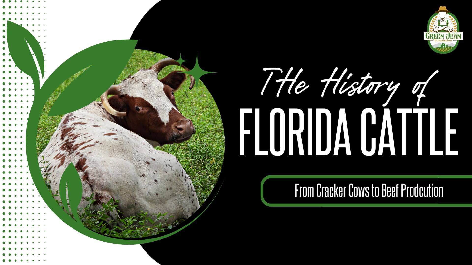 The History of Florida Cattle - Green Jean Foundation