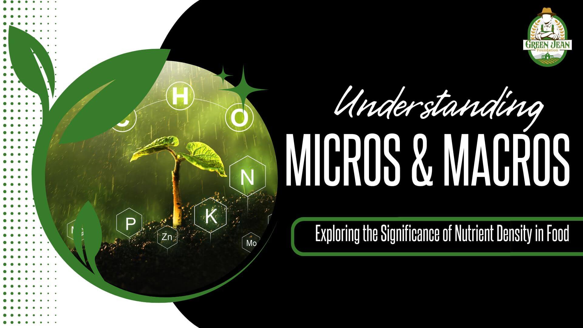 Exploring the Significance of Nutrient Density in Food