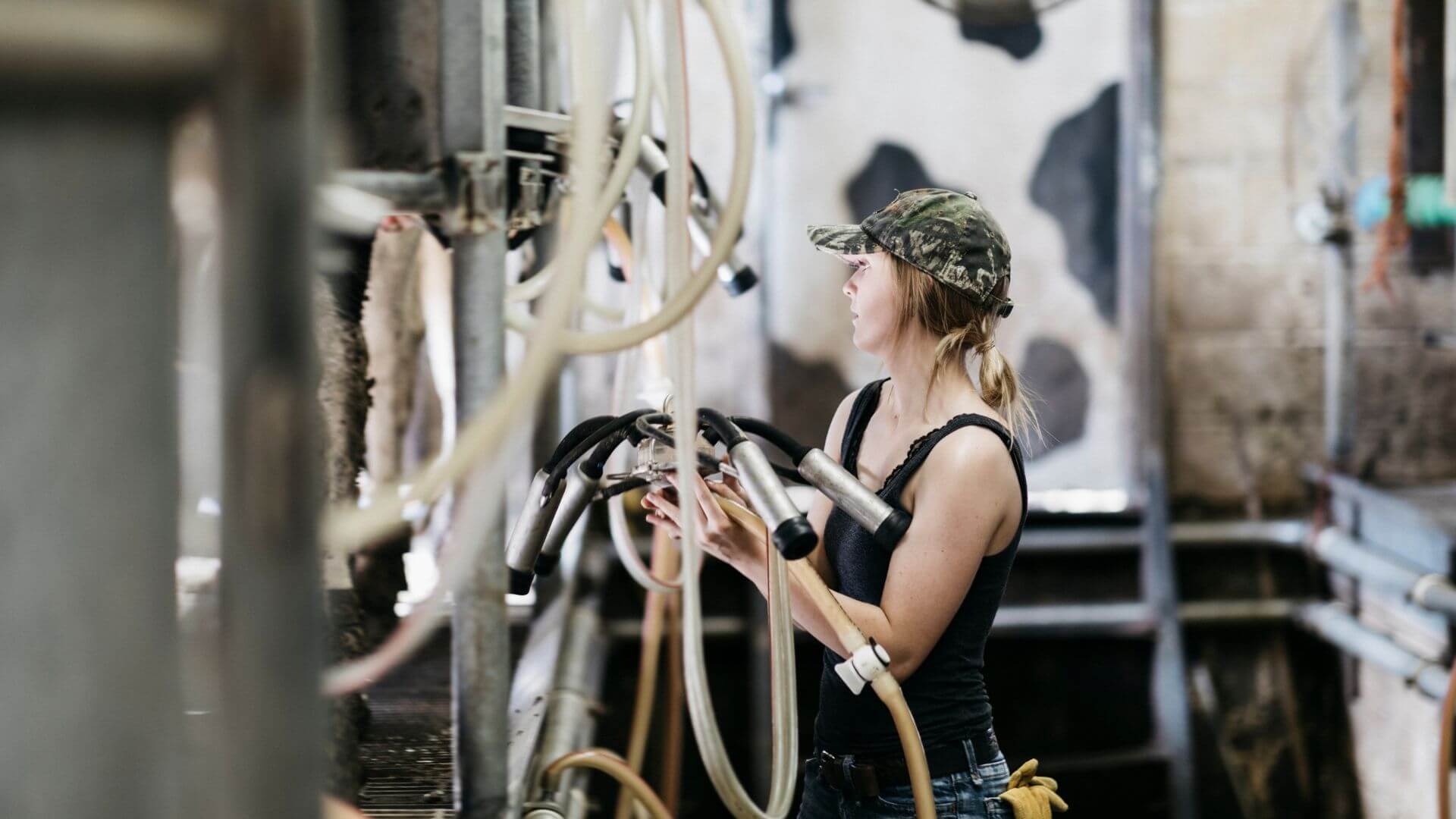 Florida’s Dairy Legacy, Then and Now - Green Jean Foundation